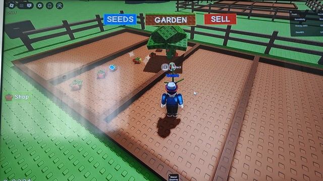 вырасти сад. 2 часть.