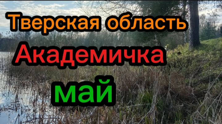 Тверская область Академическая дача им.Репина в мае.