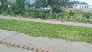 Поездка на трамвае из улицы зелёная до сад дворца