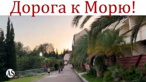 Пансионат Шексна прогулка по дороге к Морю!