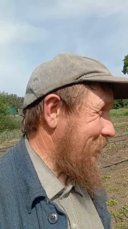 11 06 2025 Оборвать стручки на чесноке, Николай Кузьмин