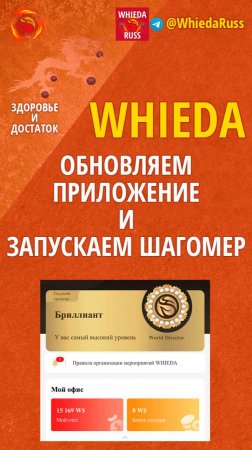 🔴ОБНОВЛЕННЫЙ ЛК WHIEDA - КАК ОБНОВИТЬ ПРИЛОЖЕНИЕ И ЗАПУСТИТЬ ШАГОМЕР