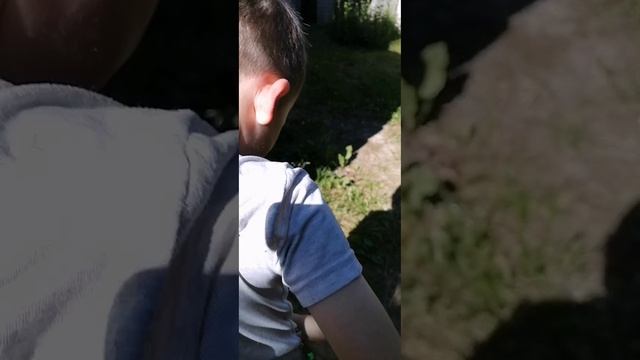 Шалун 2 серия