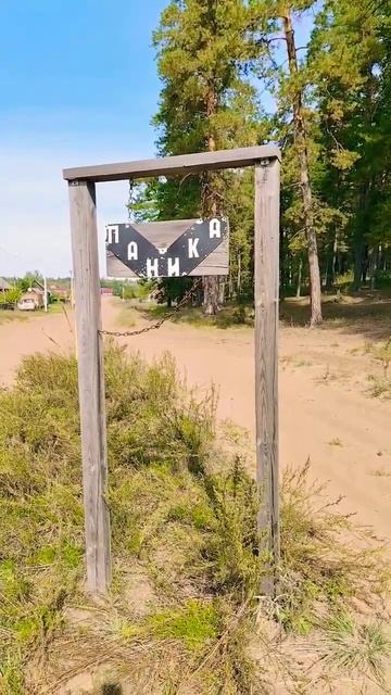 Деревня Паника в Бузулукском бору!