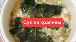 КАК ПРИГОТОВИТЬ СУП ИЗ КРАПИВЫ