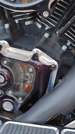 Идеальный контроль за состоянием ГРМ Harley-Davidson Twin Cam!