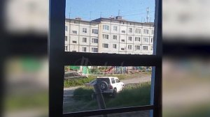 На Камчатке произошло землетрясение магнитудой 7,6