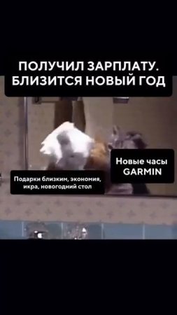 Перешли другу с финансовой грамотностью
