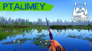 Ловим всё что поймаем🐟Русская рыбалка 4🐬Russian Fishing 4
