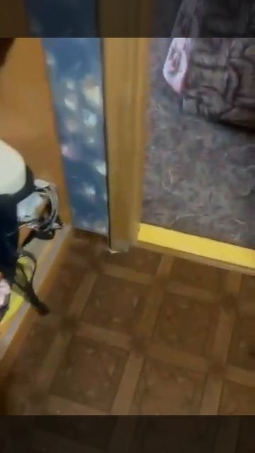 Землетрясение у берегов Камчатки магнитудой 7,5 балла!