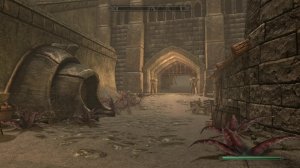 #23 The Elder Scrolls V:Skyrim. Легенда.Остров Солстейм
