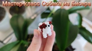 Мастер-класс Собака из Бисера Японская техника плетения
