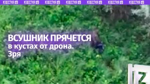 Отсидеться в кустах не вышло: укрытие ВСУшника нашли и уничтожили наши дроноводы