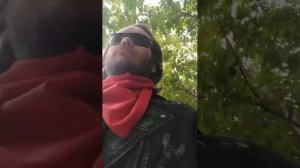 Мы идём гулять с собакой! | 20-июл-2025, 3