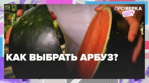 Выбираем арбузы и дыни|шоу «Проверка» — Москва 24|Контент