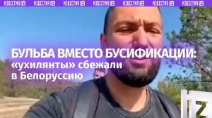 Украинские ухилянты сбежали в Белоруссию от бусификации