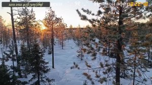 В гостях у Натальи Шитовой (20.07.25)
