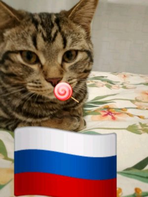закиньте 100 рублей на карту в честь стрима чтобы накопить на что то номер карты 2202 2067 5253 8426