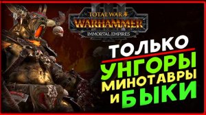 Таврокс - только унгоры, минотавры и кровавые быки - Total War Warhammer 3 - стрим на заказ