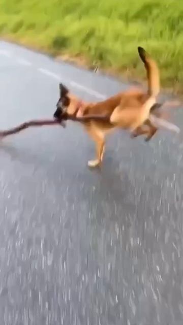 Вообще-то магия вне Хогвартса запрещена 😁😁😁
