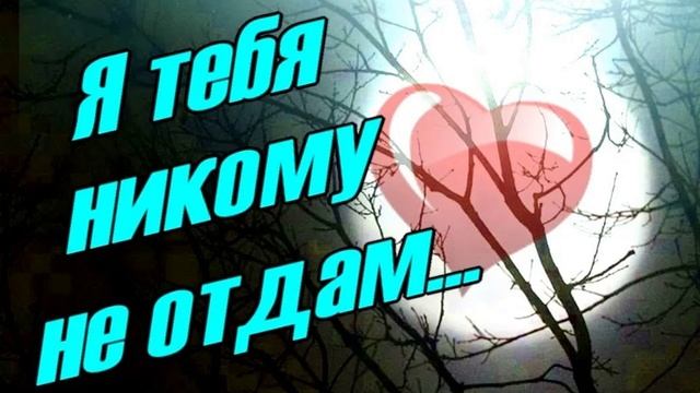 Никому я тебя не отдам (Стихи А.Иванихина)