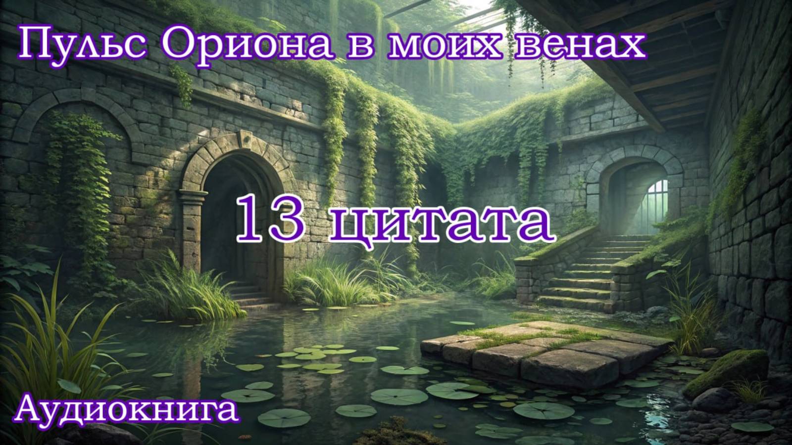 Пульс Ориона в моих венах. 1 глава, 13 цитата.