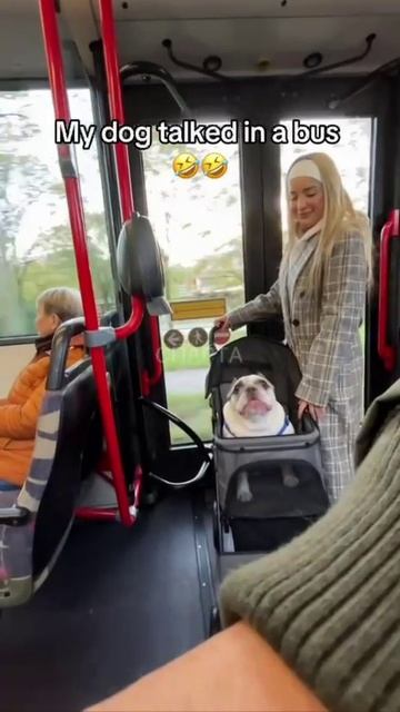 Лучше чем плачь детей😃