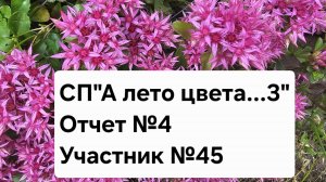СП " А лето цвета...3". Отчёт №4. Участник №45.