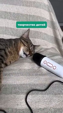 #гаджеты #мем #кот #колонка #юмор #смешно #дети #детииродители #москва #memes #morechoice #котики