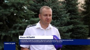 ОТПУСК С ПУШИСТЫМ ПАССАЖИРОМ