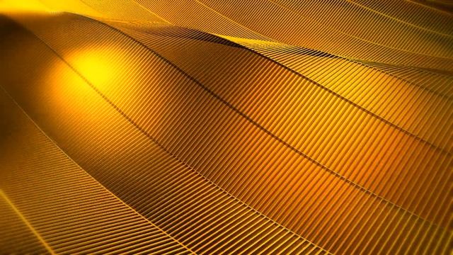 ФУТАЖ  Wave