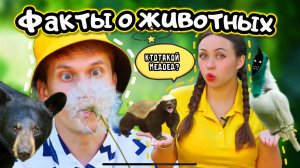 КОТ УЧЕНЫЙ| УДИВИТЕЛЬНЫЕ ФАКТЫ О ЖИВОТНЫХ