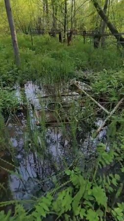 Вологодское кладбище продолжает топить, люди не могут дойти до могил своих родственников, и, каже...