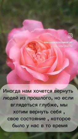 Возвращение в прошлое