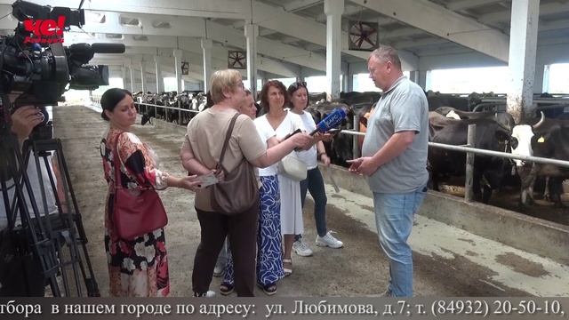 Две четверти часа 18 июля 2025