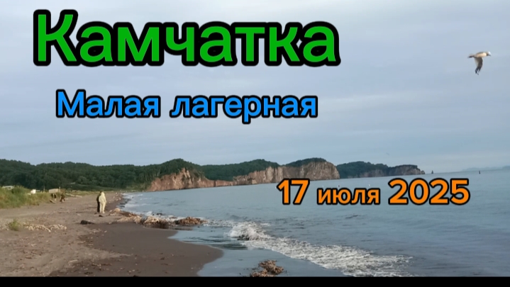 Камчатка. Малая лагерная 17 июля 2025 | Путешествие по Камчатке