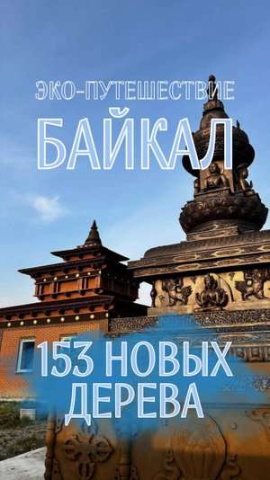 Байкал 💦 От Замешательства к Чуду! Как мы сажали лес!