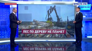Развитие лесного комплекса России. Александр Двойных. Сказано в Сенате