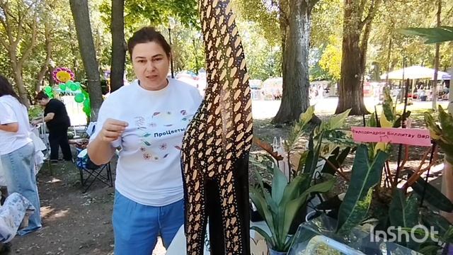 1000007282.mp4