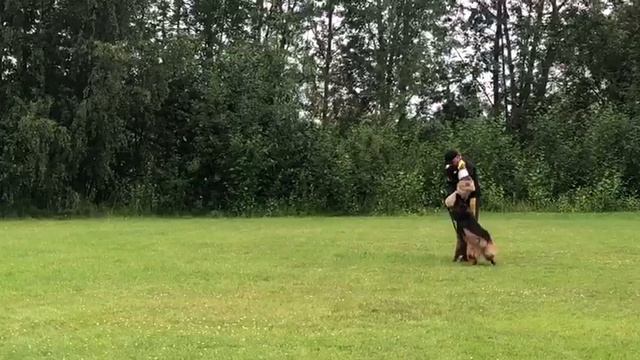 1.  выражено/пож LEIKSAID DARIUS JUMAL JURENDAB (Farnheim Kanni Ardagan – Negus Karil*S Uma-Variya)
