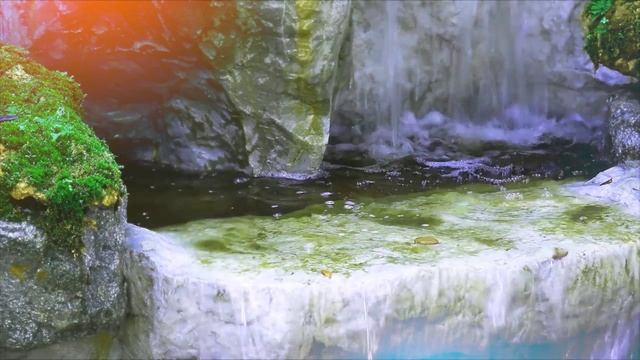 ФУТАЖ  Водопад и зеленый мох на скале с солнечным светом