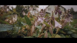 Sony 11mm F1.8 на Full Frame, просто дождливо
