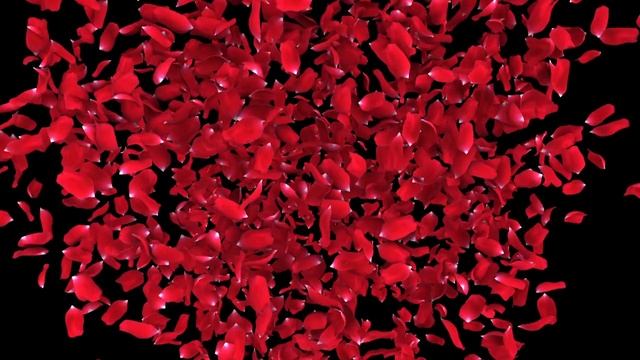 ФУТАЖ  Сердце из лепестков роз