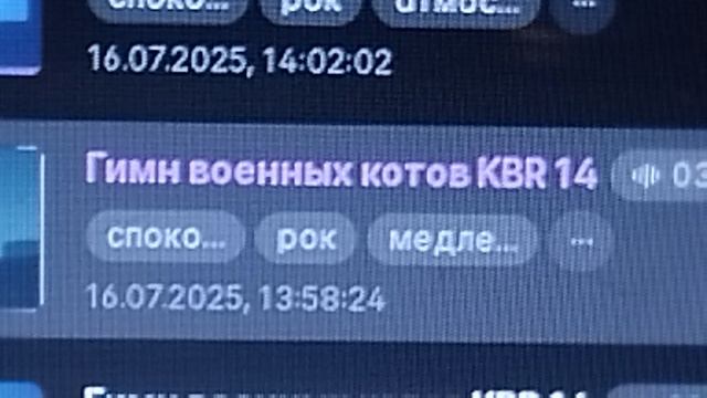 гимн котов KBR 14