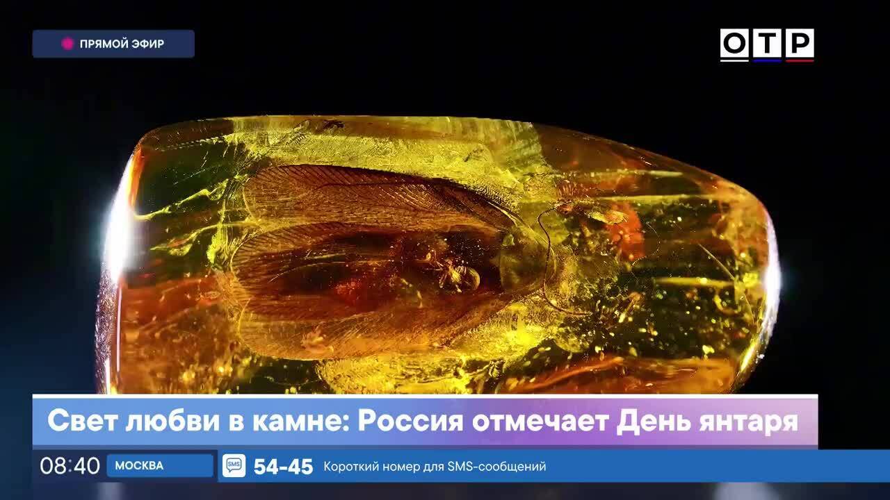 Свет любви в камне: Россия отмечает День янтаря