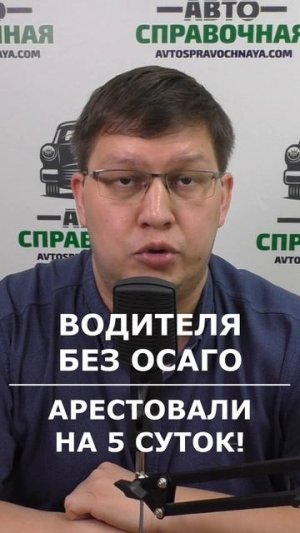 Водителя без ОСАГО арестовали на 5 суток!