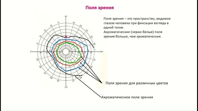 СХЕМА СТРОЕНИЯ ЗРИТЕЛЬНОГО  АНАЛИЗАТОРА