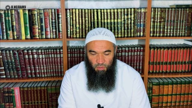 Пример осла и собаки в отношении обладателей знания | Ринат Абу Мухаммад