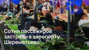 Сотни пассажиров застряли в Шереметьево