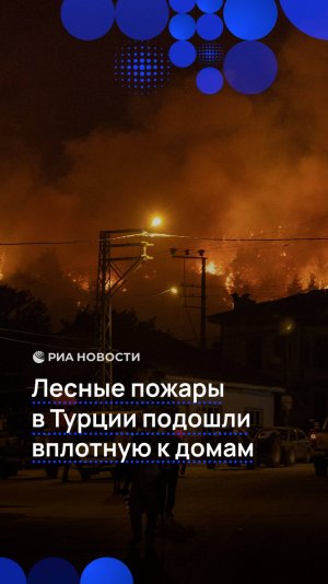 Лесные пожары подошли к деревне в Турции